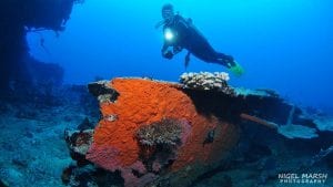 Best wreck diving in the South Pacific and South East Asia