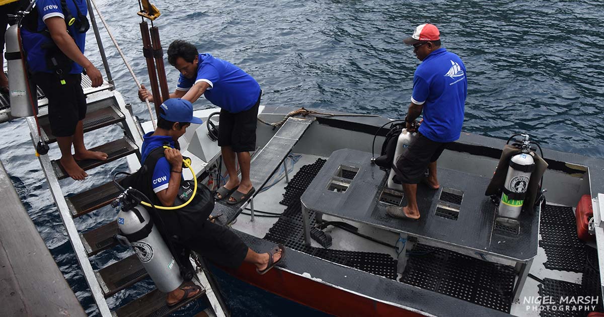 How much should I tip? A guide to tipping on your dive holiday