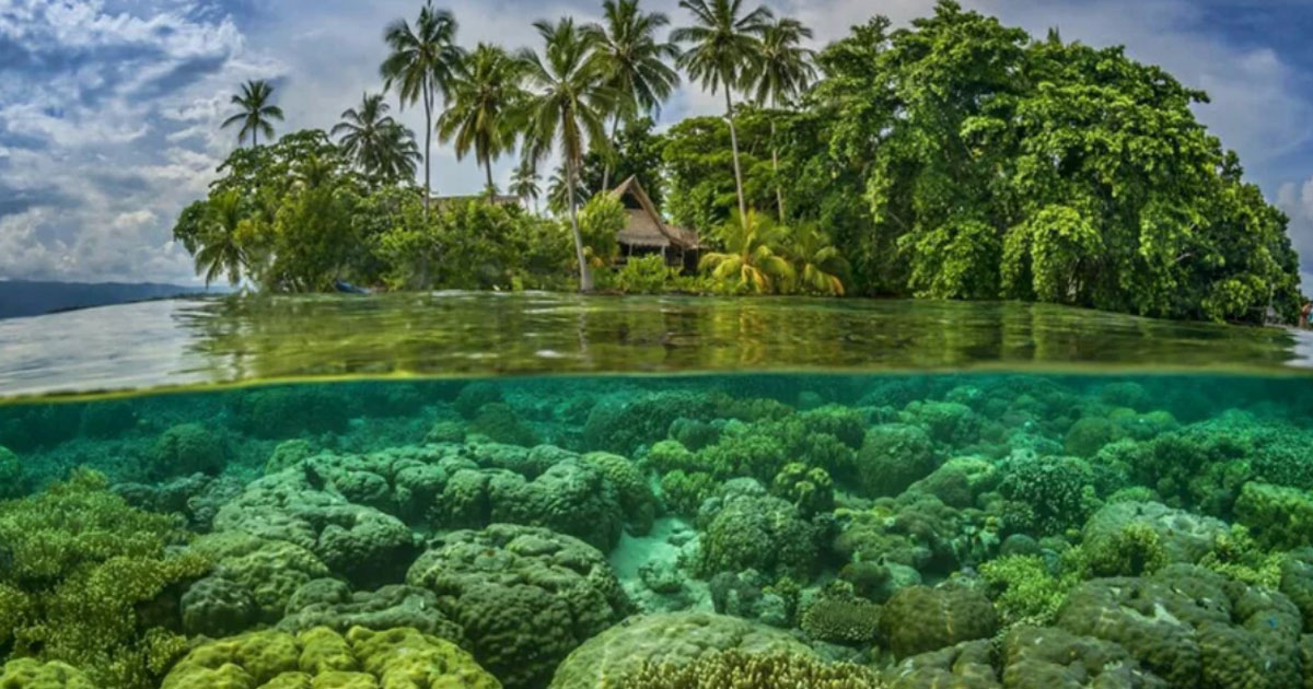 Uepi Dive Resort, Uepi Island, Solomon Islands / Solomons