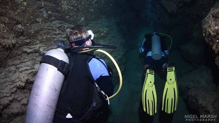 Munda – one of the South Pacific’s most popular dive destinations