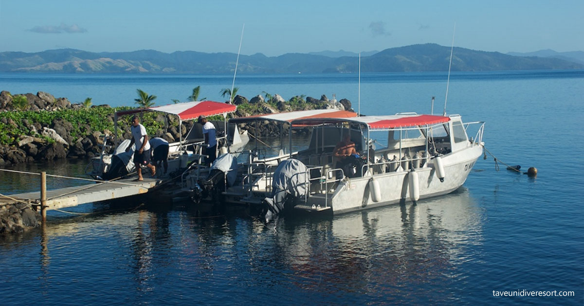 Taveuni Dive Resort, Taveuni for diving Rainbow Reef, Fiji Islands