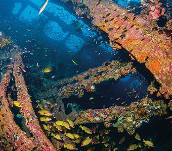 Yongala Dive Centre | Closest to dive the SS Yongala Wreck