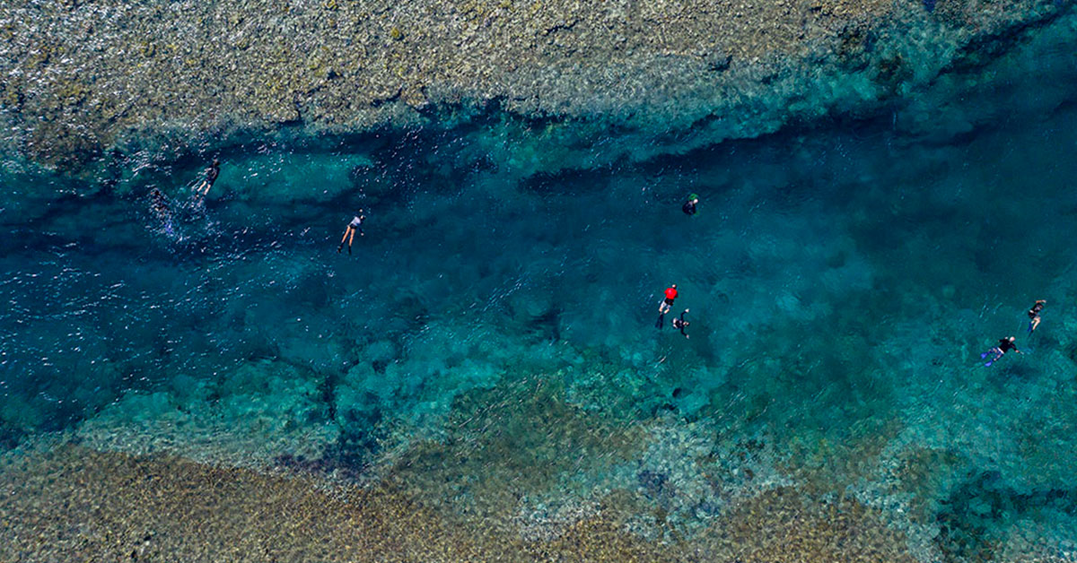 Diving Rowley Shoals | Complete guide to diving Rowley Shoals