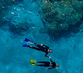 Diving Rowley Shoals | Complete guide to diving Rowley Shoals