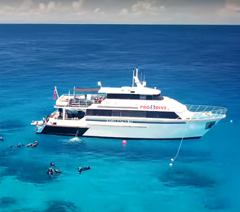 Pro Dive Cairns Scubapro Liveaboard for the Great Barrier Reef