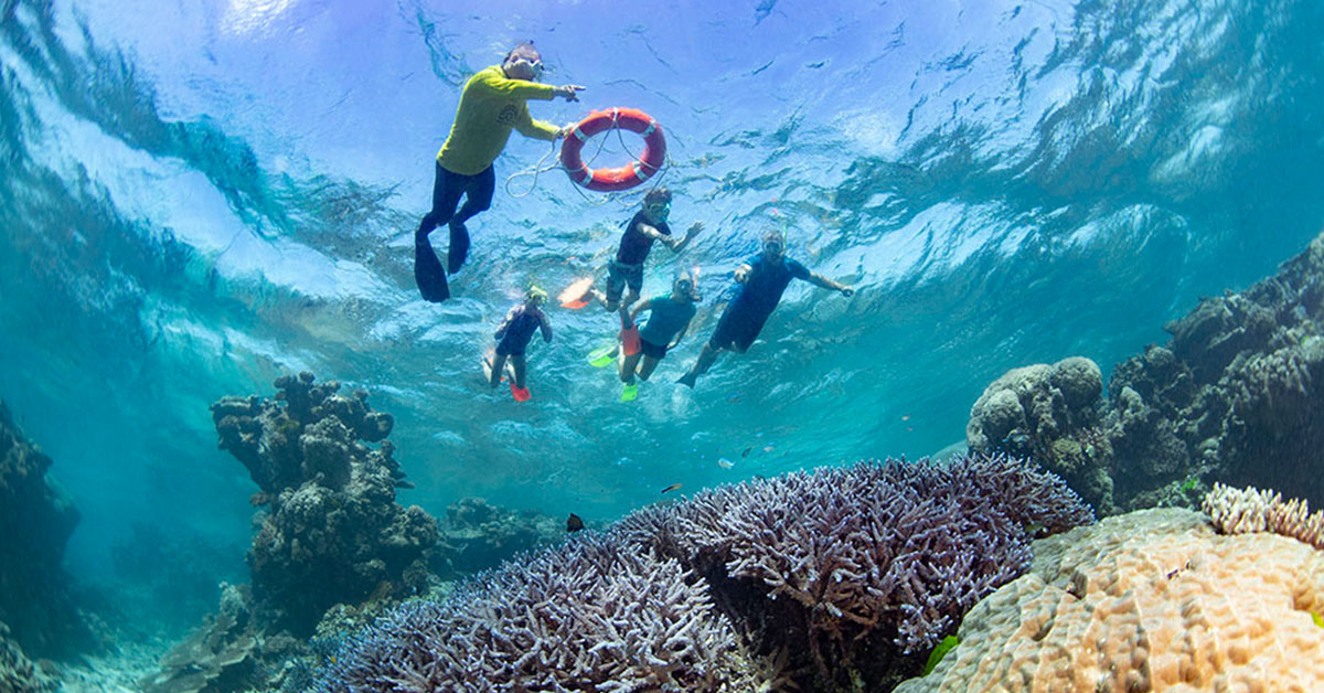 10 ways to help conserve and protect the Great Barrier Reef