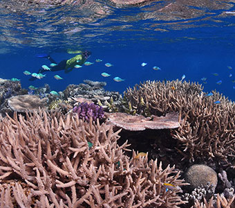 Top 10 lesser known reefs on the Great Barrier Reef