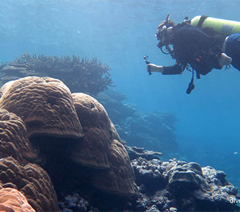 What’s so good about diving American Samoa? Marine Sanctuaries