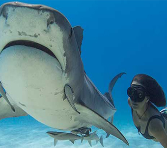 Why Shark Girl Madison Stewart does not have “hope” for our oceans