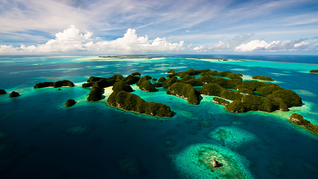 Diving Palau - everything you need to know about diving Palau.